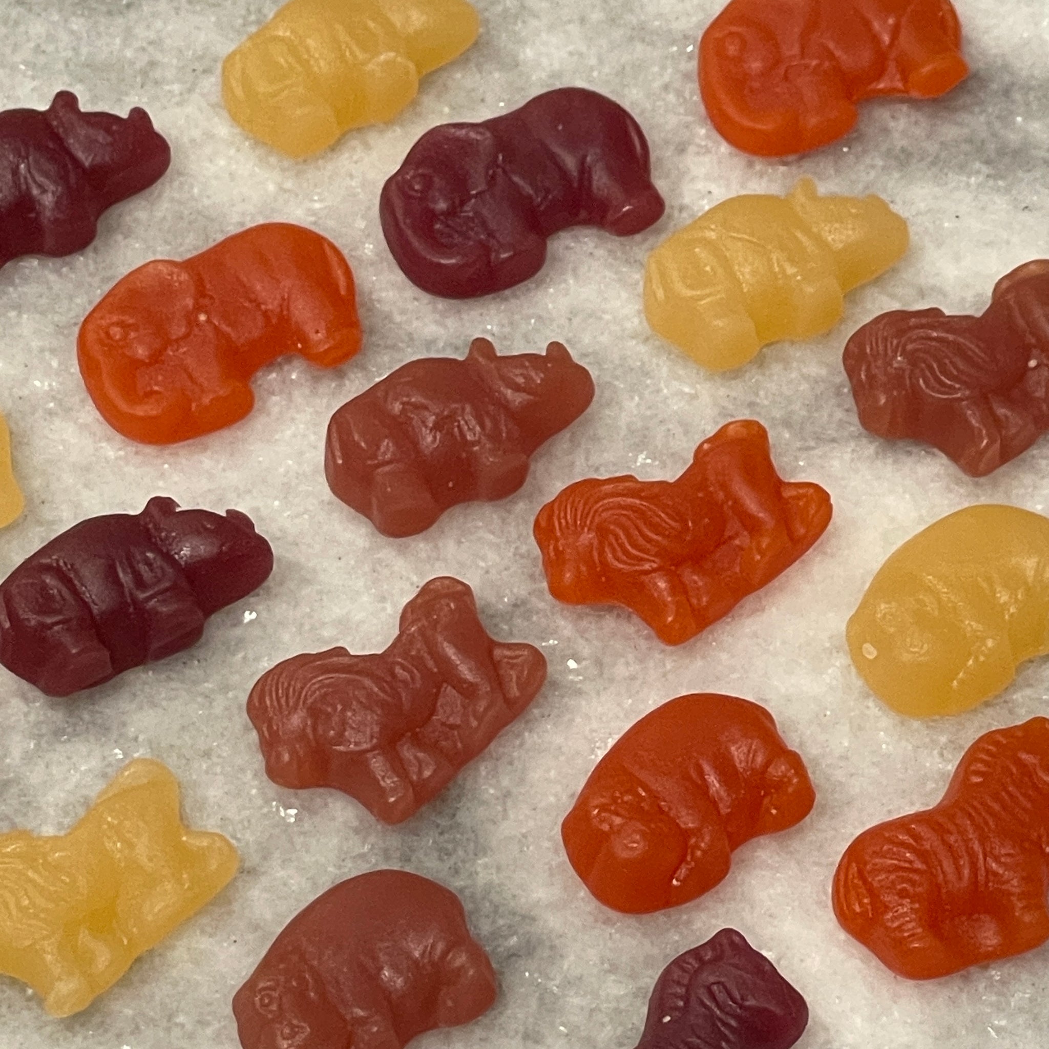 Fruity Zoo Animals Gummies - Natural Flavors